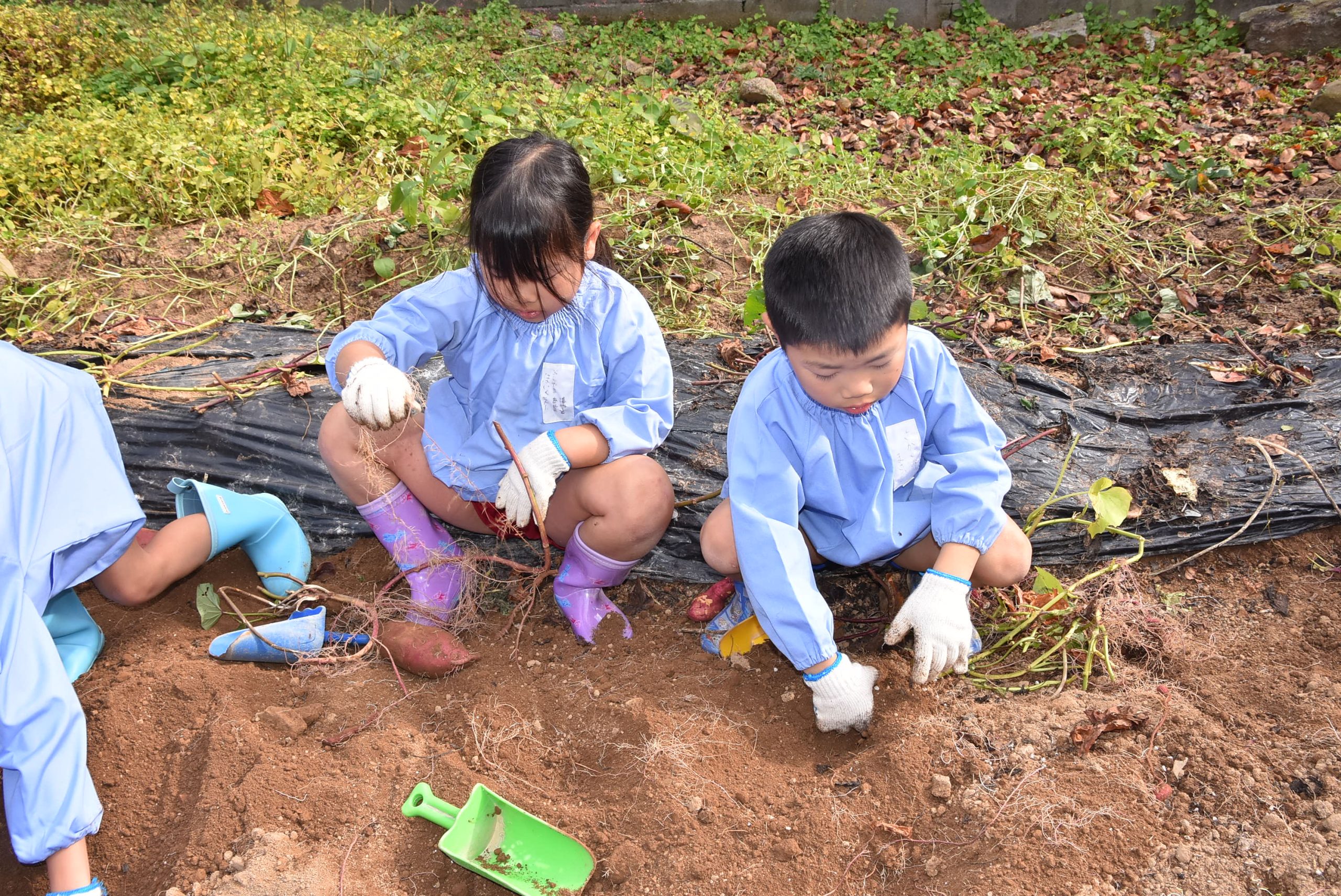 DSC_0937 ｜ 青竜保育園